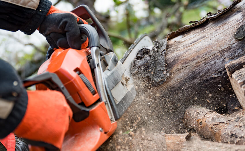 Chainsaw accident at work - Leg injury claim - Pearson Solicitors